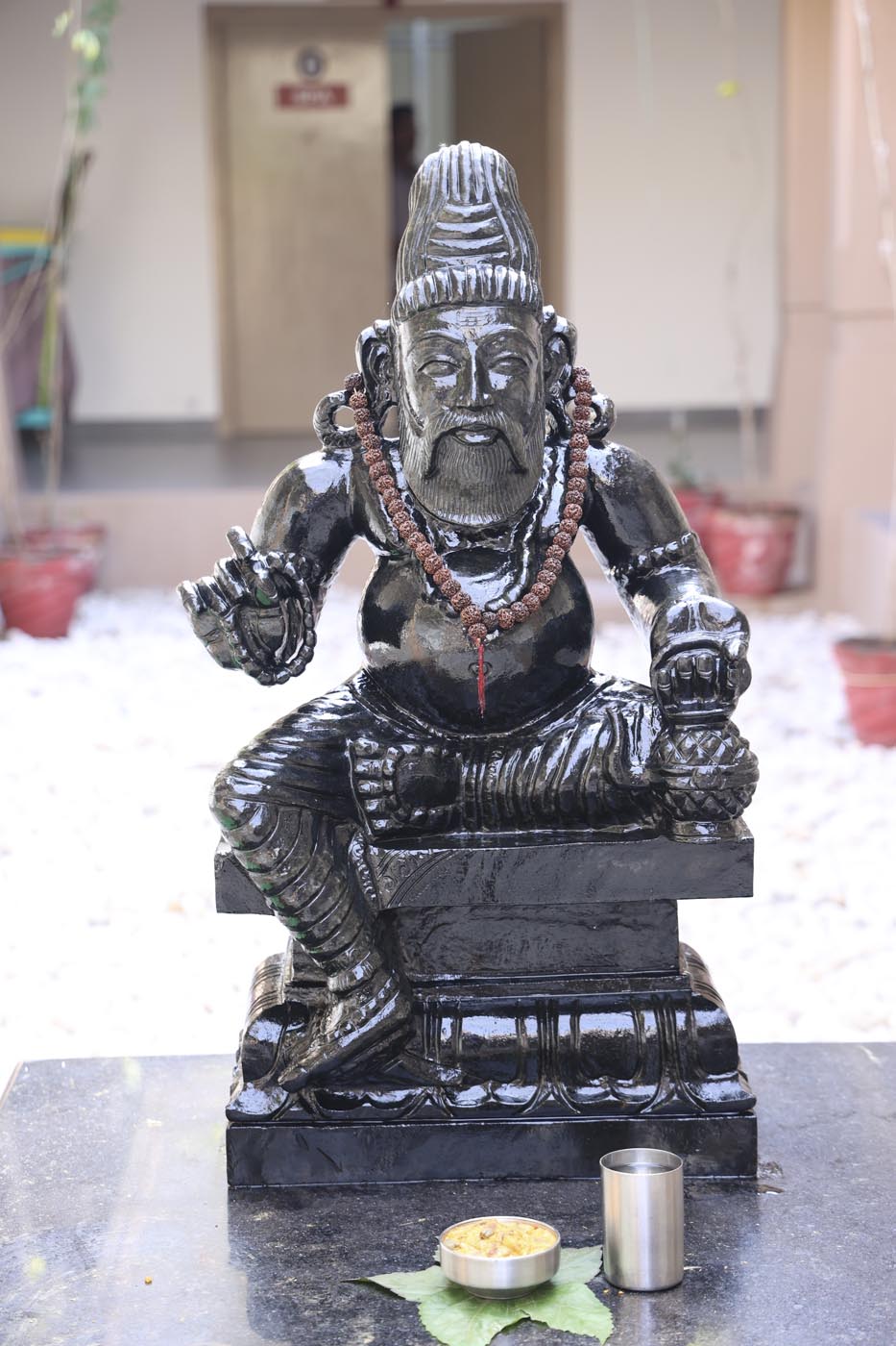 The SACRED SCIENCE of Siddha medicine - Hinduism Today