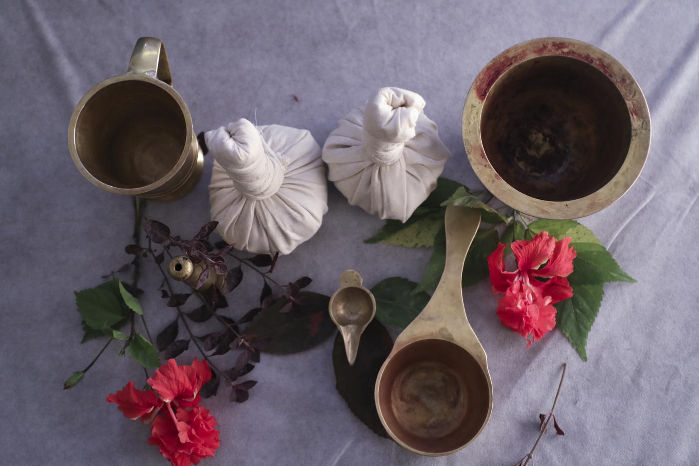 The SACRED SCIENCE of Siddha medicine - Hinduism Today